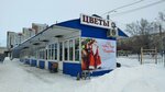 Magazin tsvetov (Popova Street No:68В), çiçekçiler  Barnaul'dan