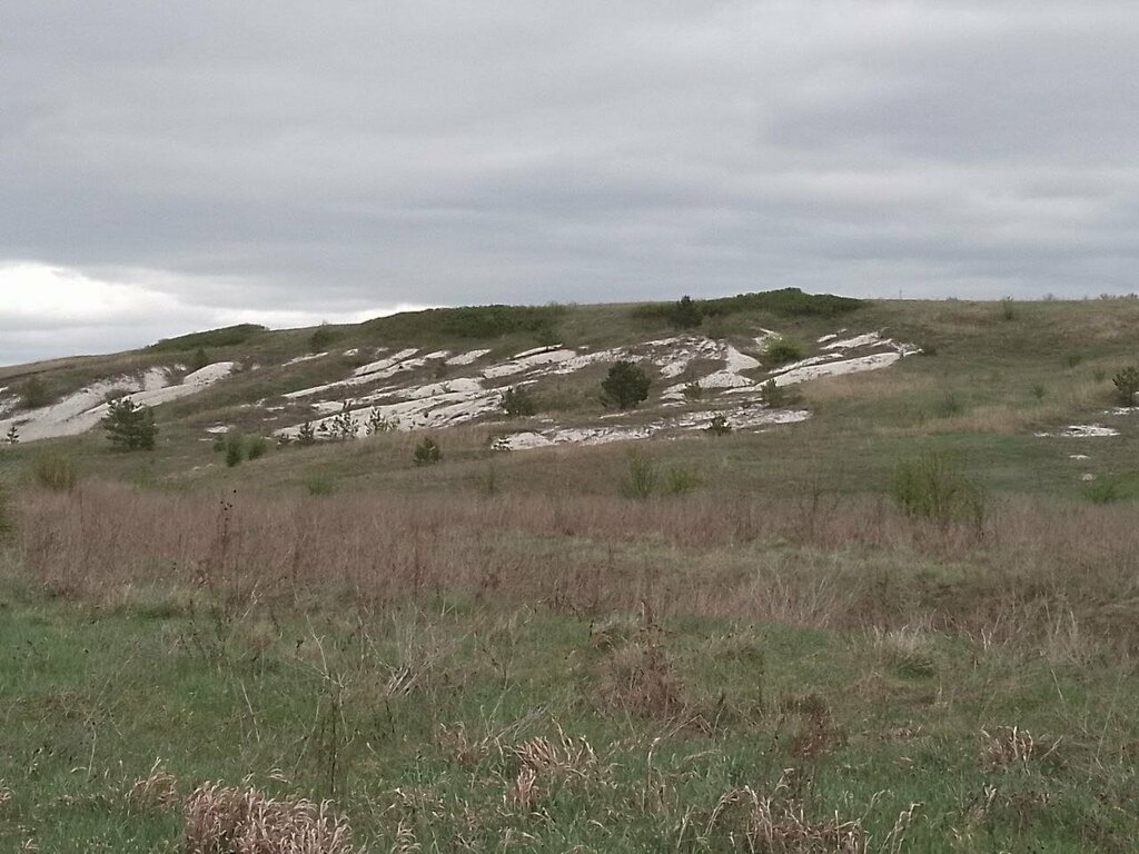 Orman урочище Дальняя Черёмуха, Belgorodskaya oblastı, foto