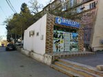 İntellect (Baku, Zykh setllement, Elvin Shyukurly Street), kurs  Bakü'den