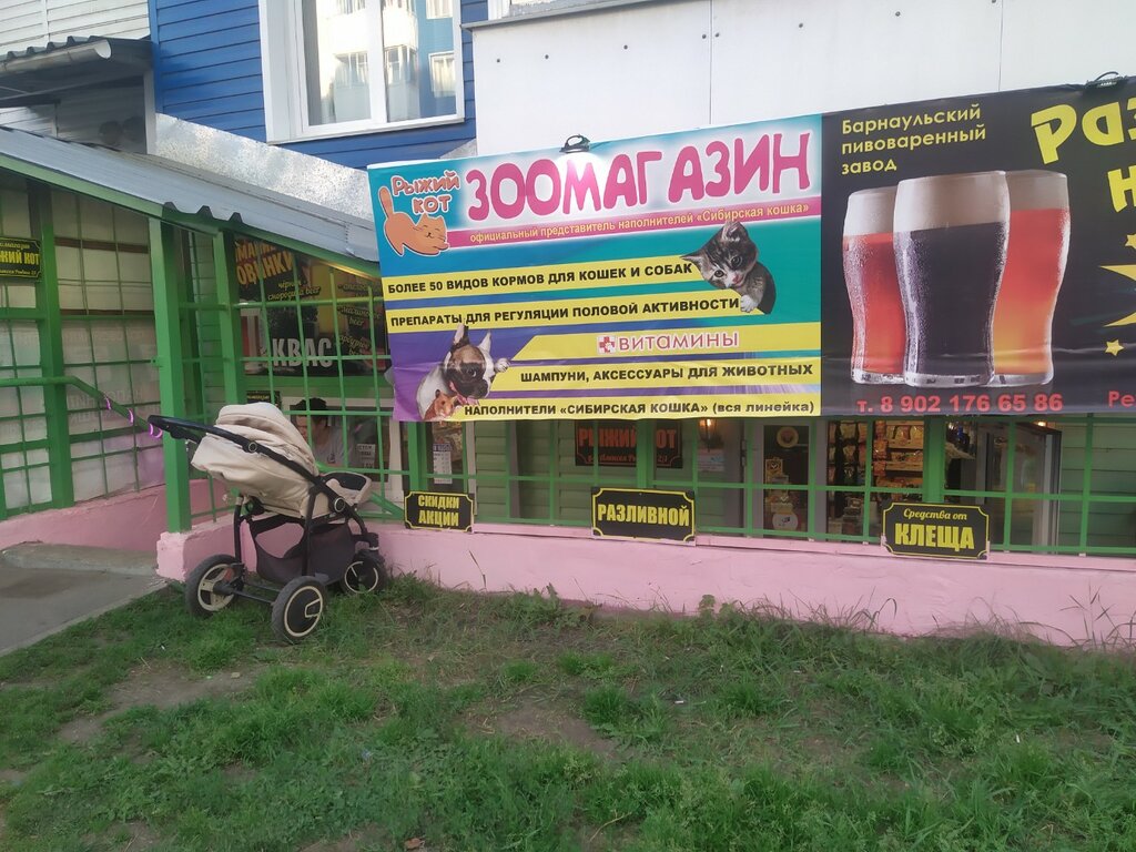 Petshop Рыжий кот, İrkutskaya oblastı, foto