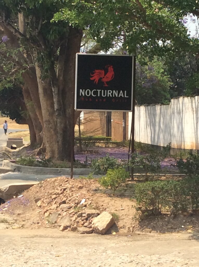Bar Nocturnal Pup and Grill, Lusaka, foto