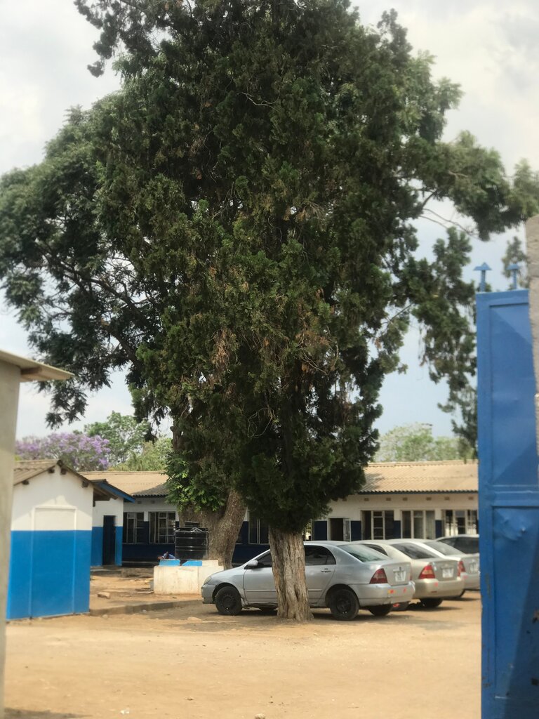 Ortaokul Lotus Primary School, Lusaka, foto