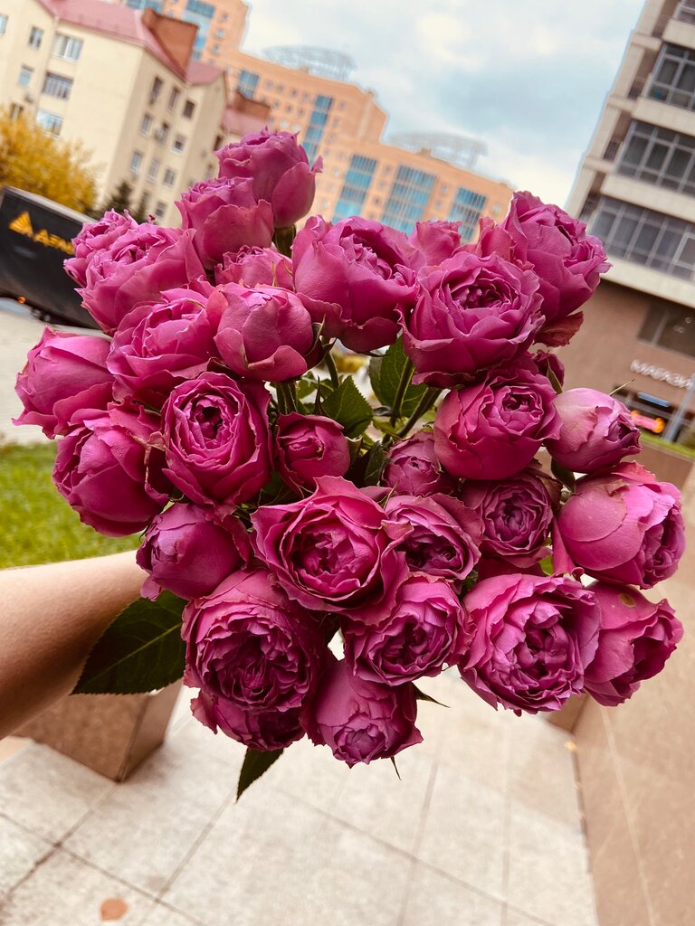 Çiçekçiler Sandra flowers, Kazan, foto