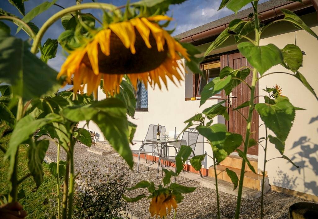 Otel Gasthof Rauschberghof, Bavyera, foto