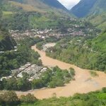 Forest Engineers Consultants and Associates. S. A. S - Ifcaya S. A. S. (Bogotá, Chapinero, Chico Norte, Calle 94A, 13-38), bahçe ekipmanları ve teknolojileri