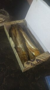 Бункер (Kazbekov Avenue No:247, Makhachkala), bar  Dağıstan'dan