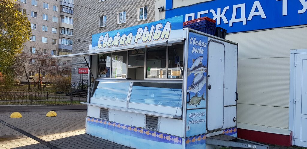 Balık ve deniz ürünleri Свежая рыба, Velikiy Novgorod, foto