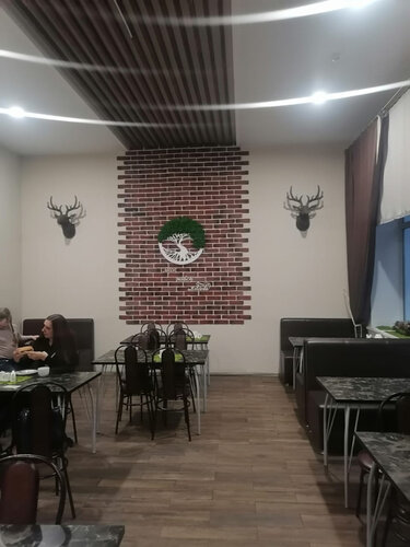 Kafe Biosphere, Voronej, foto