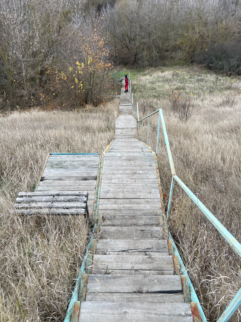 Pınar, çay Святой источник села Девица, Voronejskaya oblastı, foto