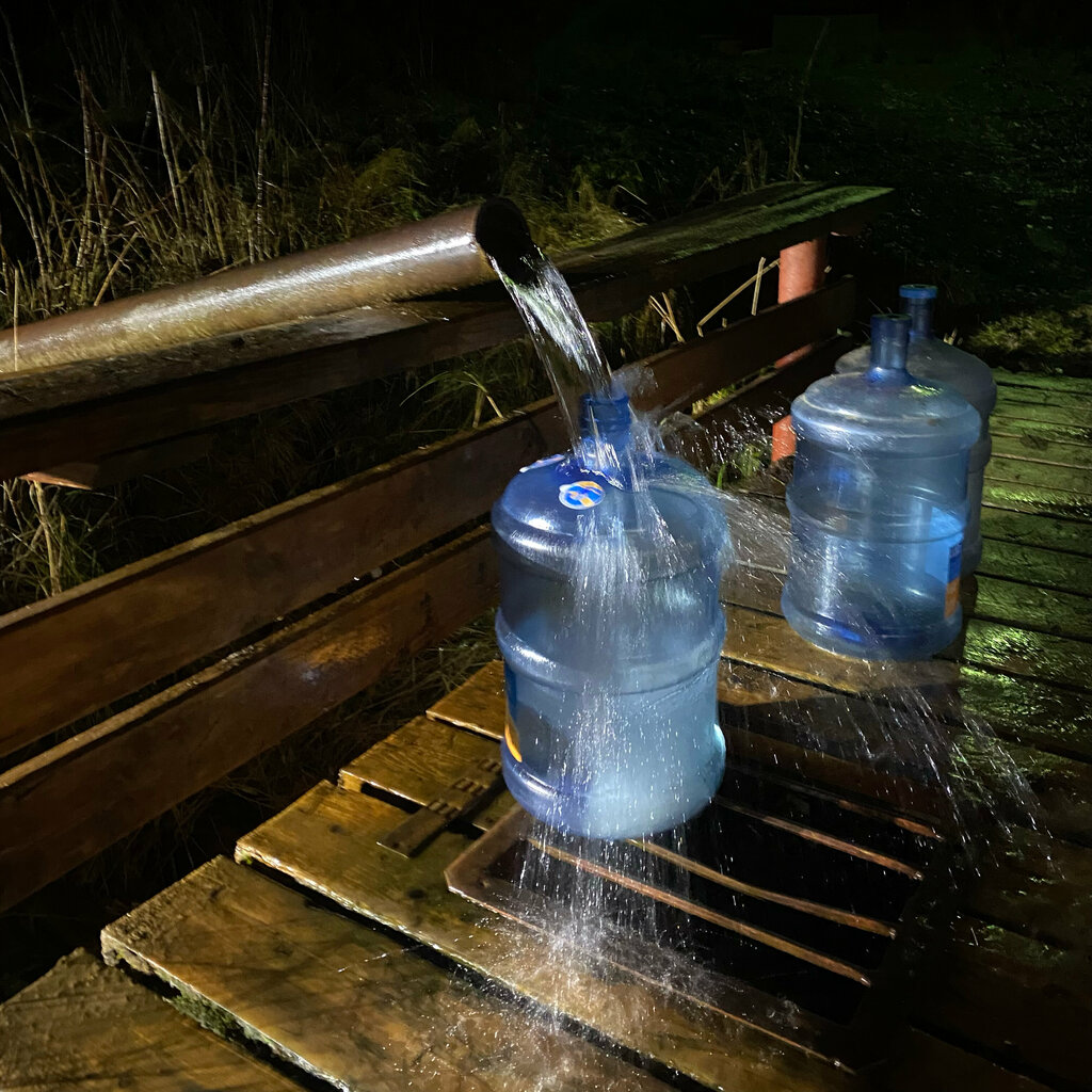 Pınar, çay Spring, stream, Saint‑Petersburg ve Leningradskaya oblastı, foto