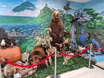 Munitsipalnoye byudzhetnoye uchrezhdeniye Kurilsky munitsipalny byudzhetny krayevedchesky muzey (Primorskoye shosse No:5), müzeler ve sanat galerileri  Kurilsk'ten