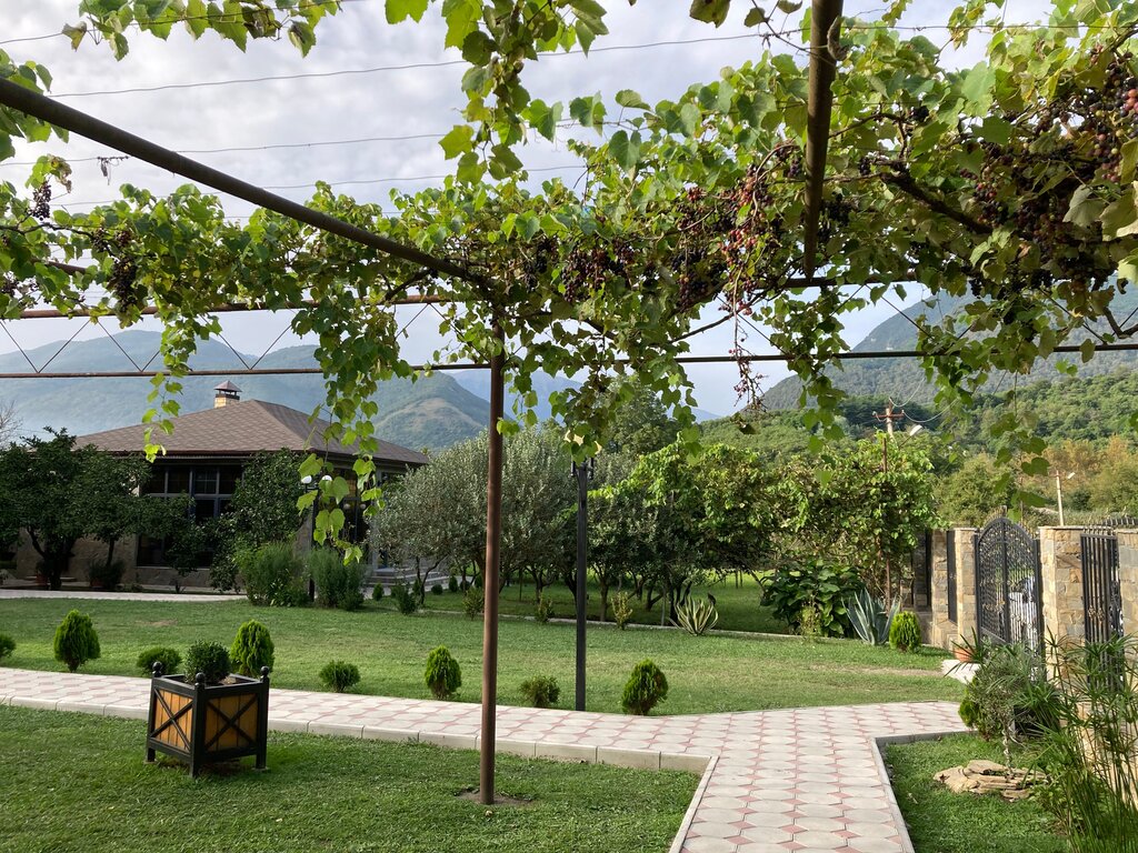 Şarap ve içki toptan satışları Winejetabkhazia, Gudauta Bölgesi, foto