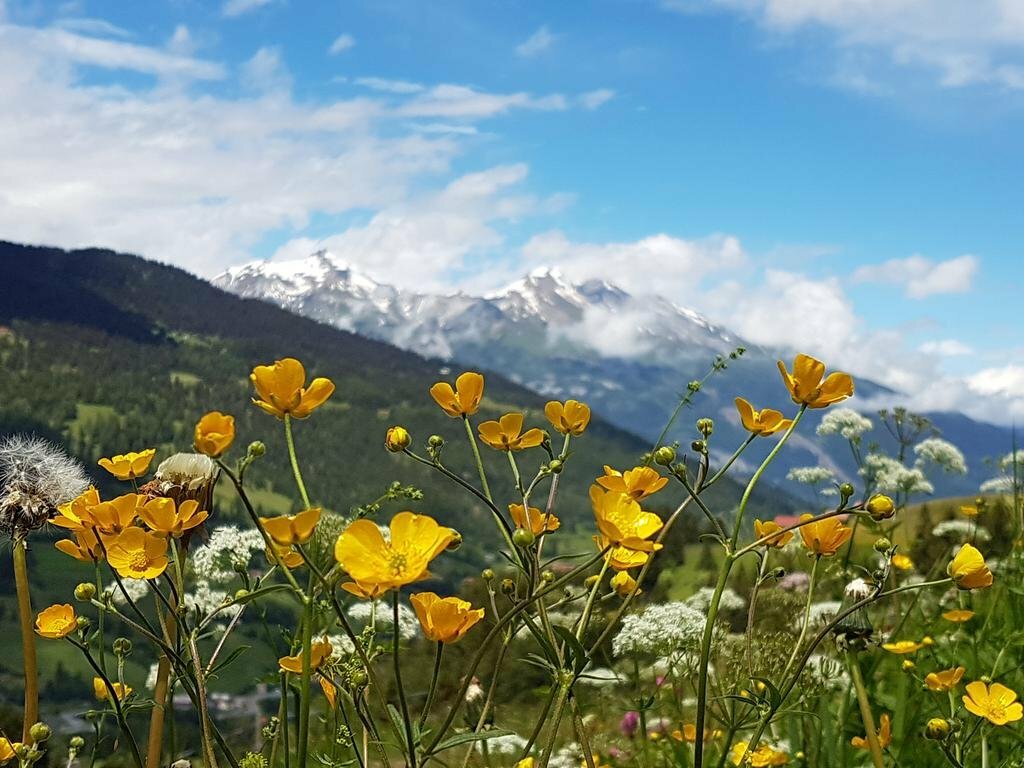 Otel Posthotel Churwalden, Graubunden, foto