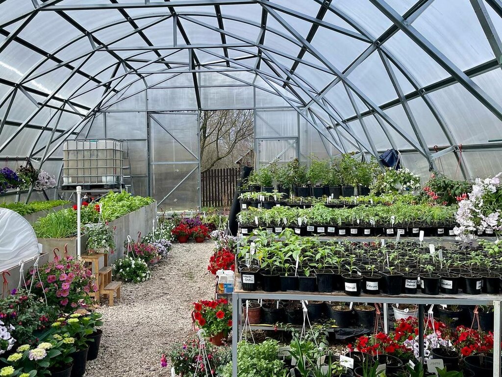 Sera ve bahçe ürünleri Садовый центр, Tulskaya oblastı, foto