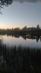 Пруд Гатец (Minskaja region, Biarezinski rajon, Pahoscki sieĺsaviet), balık çiftçiliği ve toptancıları  Minskaya oblastından