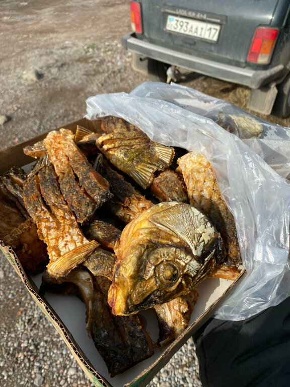 Kafe Fried Fish, Türkistan eyaleti, foto