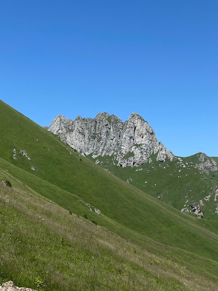 Dağ zirvesi Гора Борзонти, Çeçen Cumhuriyeti, foto