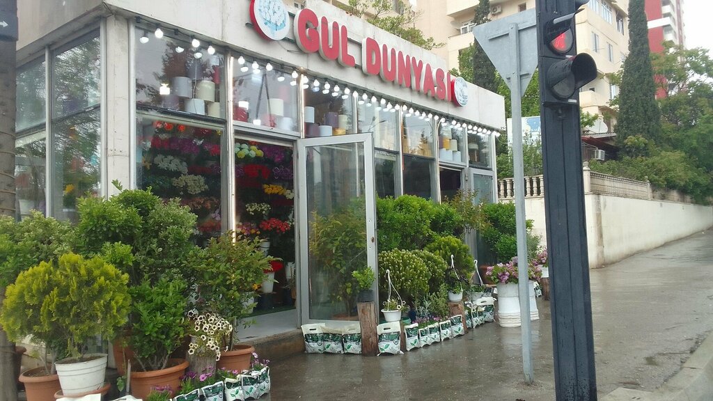 Çiçekçiler Gül dünyası, Bakü, foto