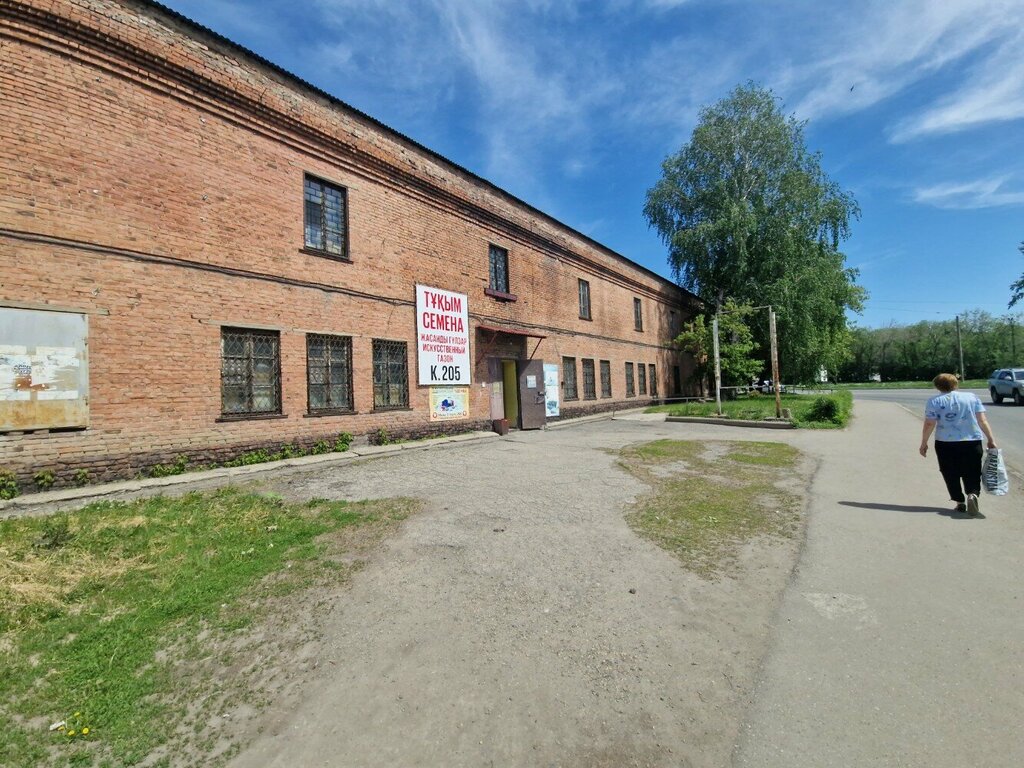 Dikiş malzemeleri Auto Atelier, Öskemen (Ust‑Kamenogorsk), foto
