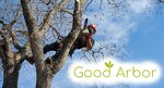 Good Arbor (United States, San Antonio, 4035 Naco Perrin Blvd #105), bahçe ekipmanları ve teknolojileri  San Antonio'dan