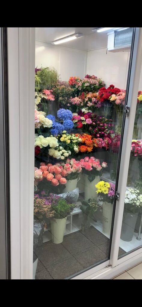 Çiçekçiler Cvetodecor, Moskova ve Moskovskaya oblastı, foto