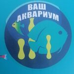 Your aquarium (ulitsa Mira No:104), petshop  Soçi'den