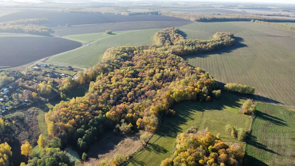 Orman Тайный лес, Moskova ve Moskovskaya oblastı, foto