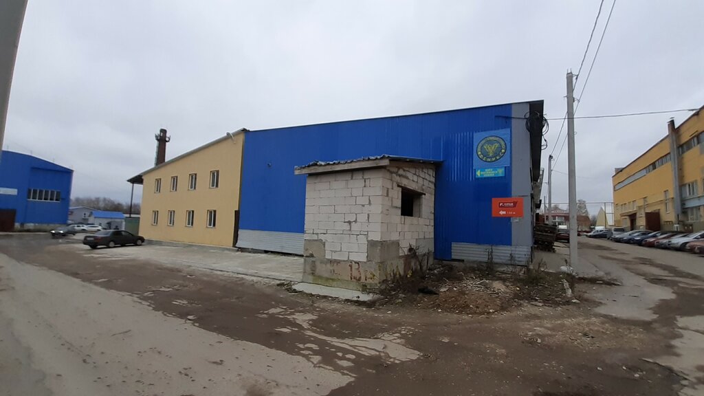 Spor kulüpleri ЦНТ Феникс, Riazan, foto