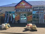 Мечта (Obvodnaya ulitsa No:7, rabochiy posyolok Rzhaksa), market  Tambovskaya oblastından