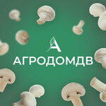 Агродом ДВ (Krasnorechenskaya Street No:111Ж/1), mantar yetiştirme ve satış  Habarovsk'tan