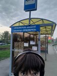 Боровецкое (Republic of Tatarstan, Naberezhnye Chelny, Chulman Avenue), toplu taşıma durağı  Naberejniye Çelny'den (Yar Çallı'dan)