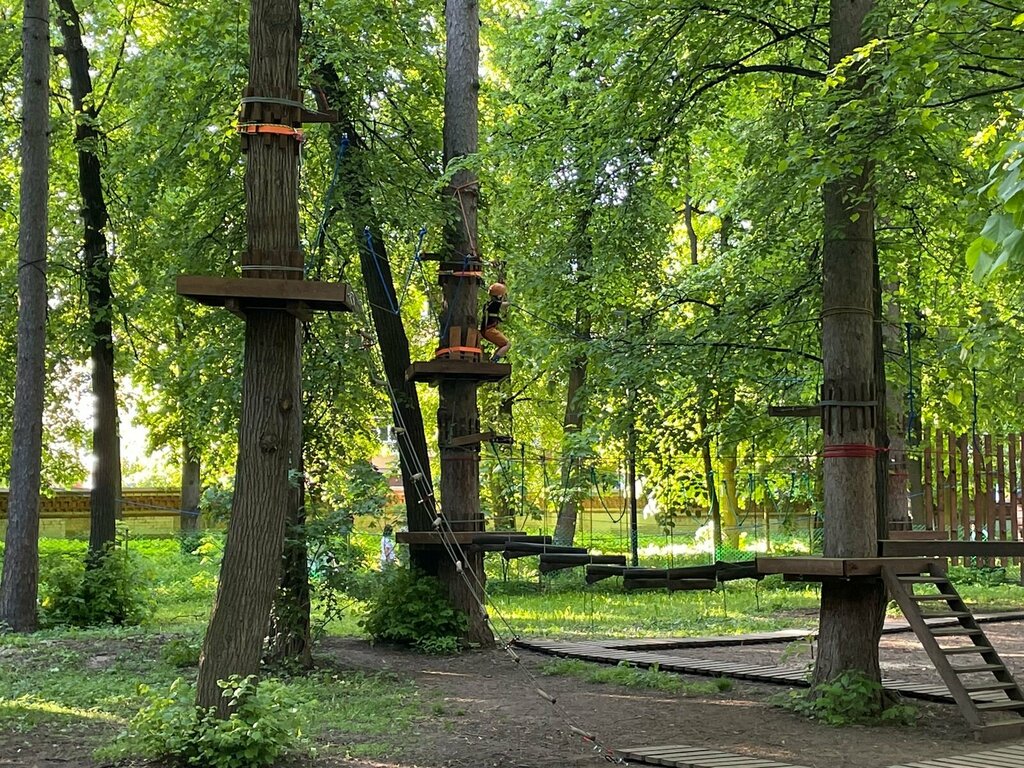 i̇pler, halatlar Дитя джунглей, Riazan, foto