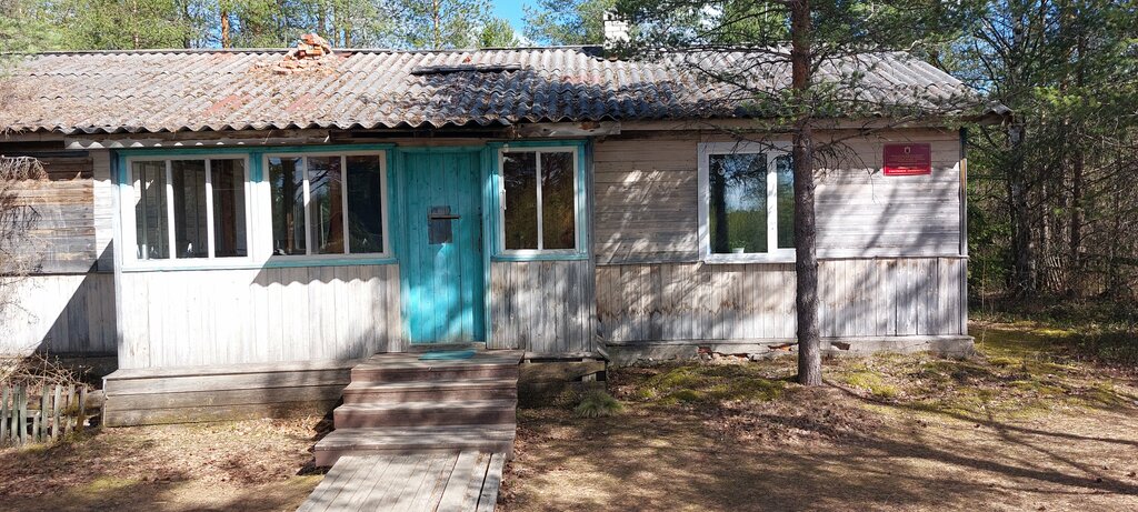 Orman işleri Volomsky forestry, Karelya, foto