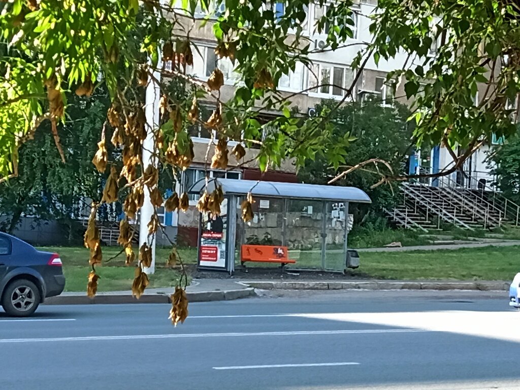 Toplu taşıma durağı Public transport stop, Ufa, foto