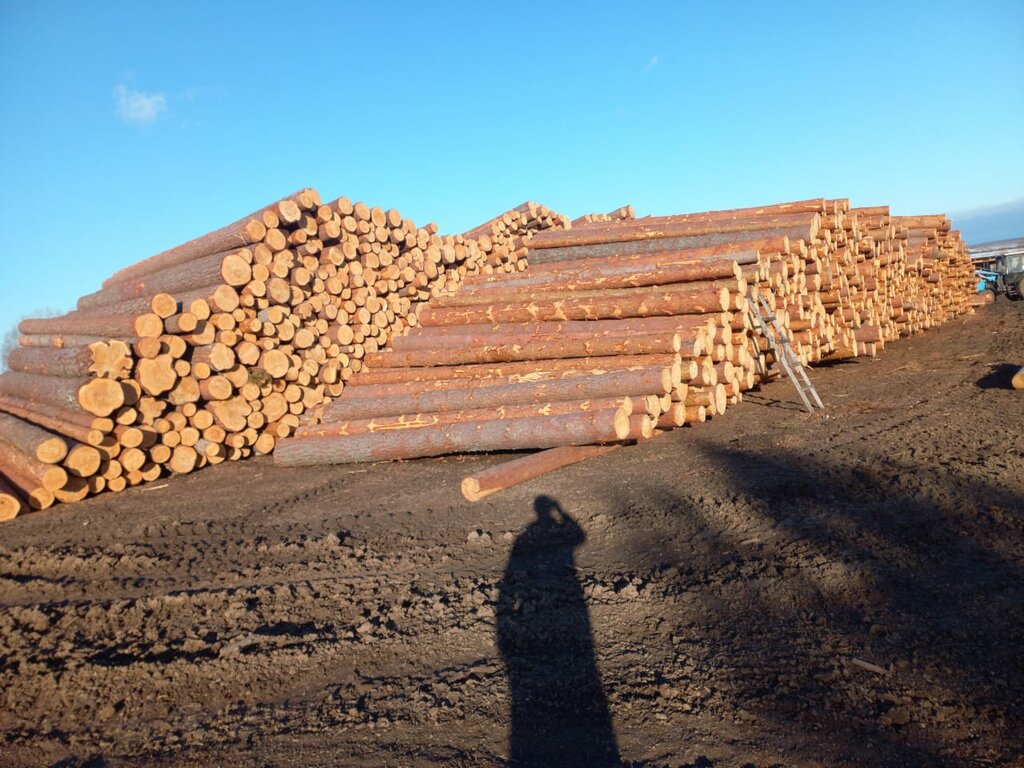 Kereste üretim ve satış şirketleri Vyatkastroyles, Samara, foto