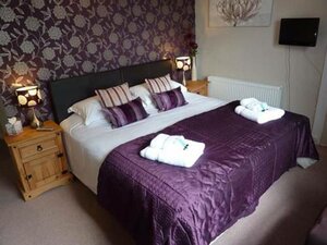 The White House Guest House (England, Somerset County, Williton, Long Street), otel  İngiltere'den