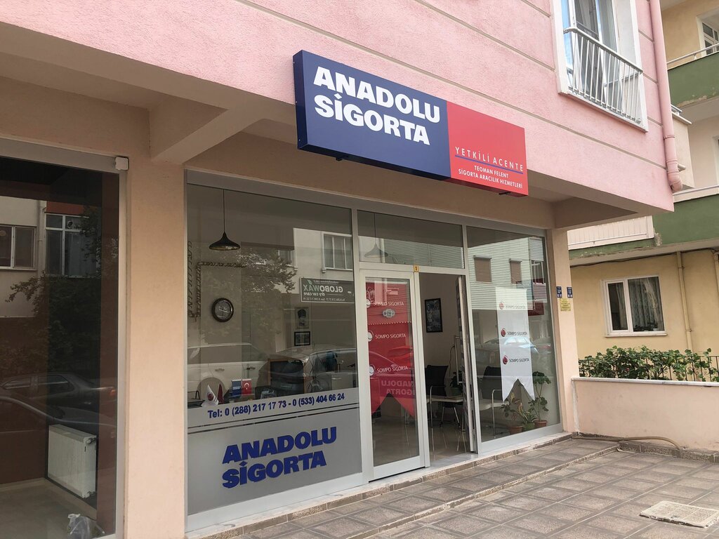 Sigorta şirketleri Teoman Felent Sigorta, İstanbul, foto