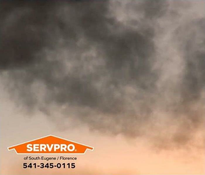 Halı yıkamacılar Servpro of South Eugene Florence, Oregon Eyaleti, foto
