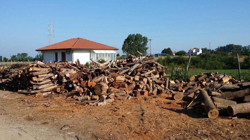 Ahşap endüstrisi Impresa Boschiva di Lettieri Esterina, Campania, foto