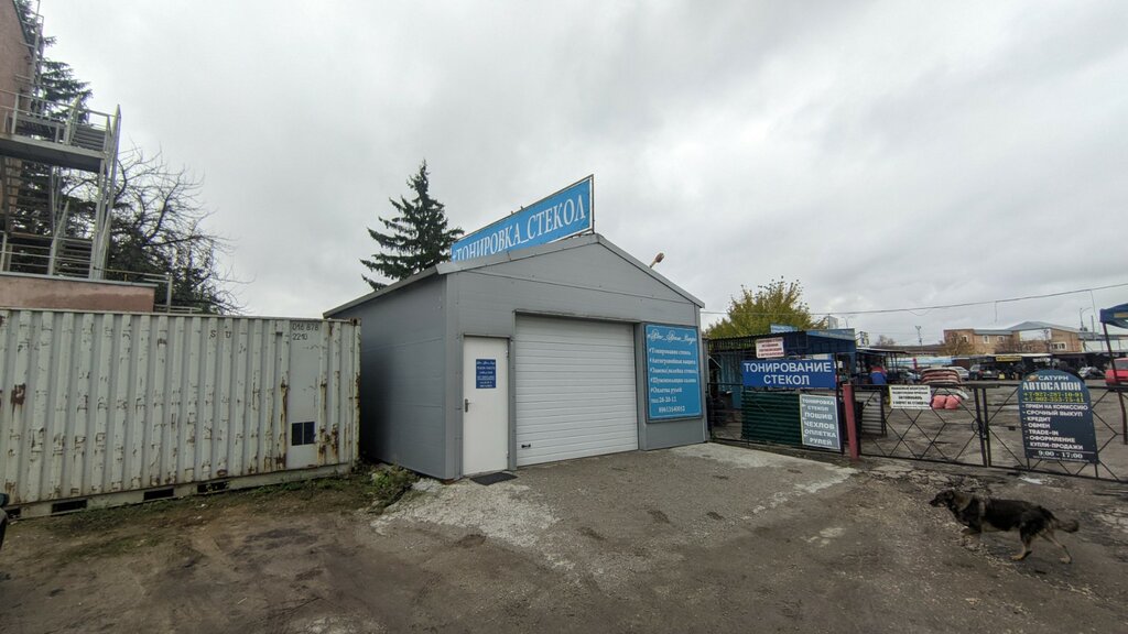 Araç camlarının renklendirilmesi Тонировка стекол, Penza, foto