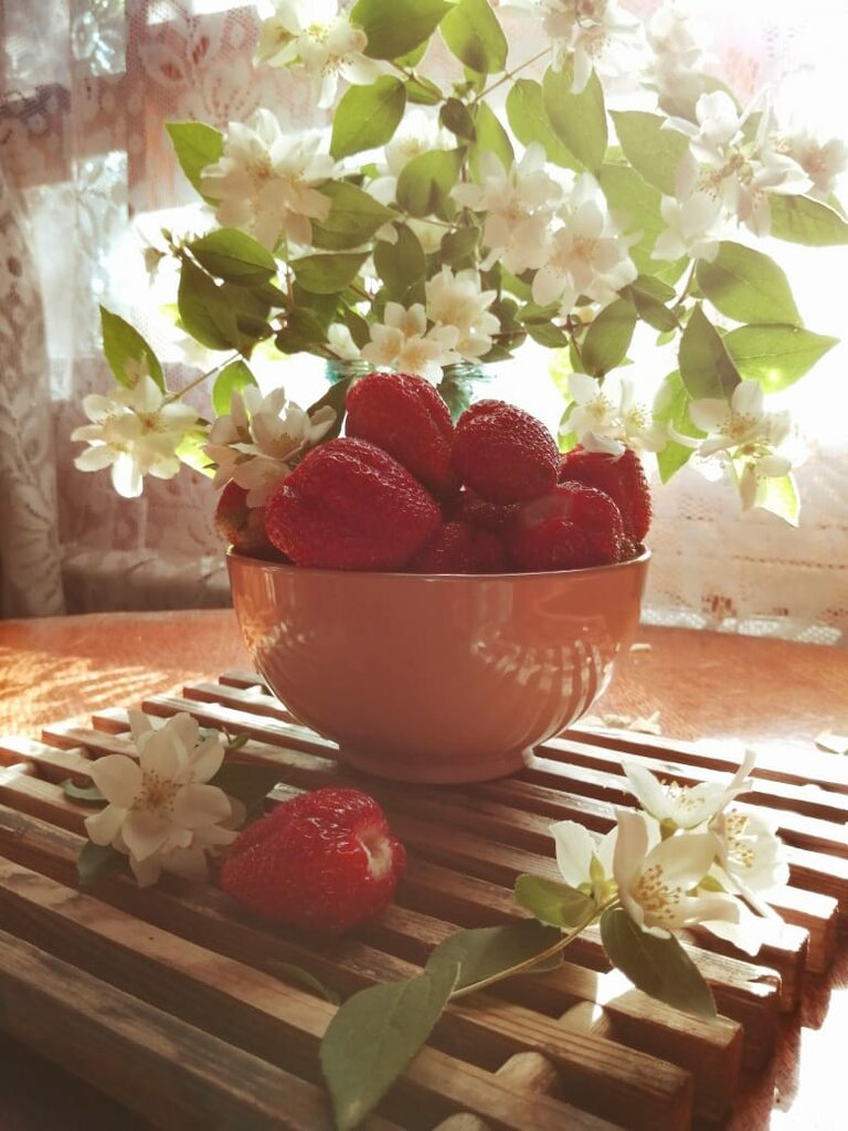 Bahçecilik dernekleri ve kuruluşları Snt Novosel, Riazanskaya oblastı, foto