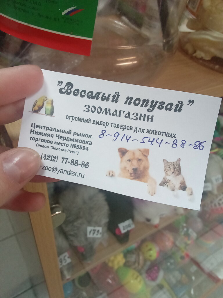 Petshop Vesely popugay, Habarovsk, foto