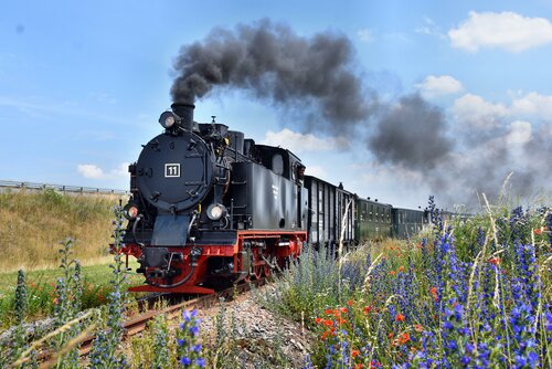 Müzeler ve sanat galerileri Mansfelder Bergwerksbahn, Saksonya‑Anhalt, foto
