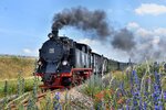 Mansfelder Bergwerksbahn (Saxony-Anhalt, Mansfeld-Südharz, Hauptstraße, 15), müzeler ve sanat galerileri  Saksonya‑Anhalt'tan