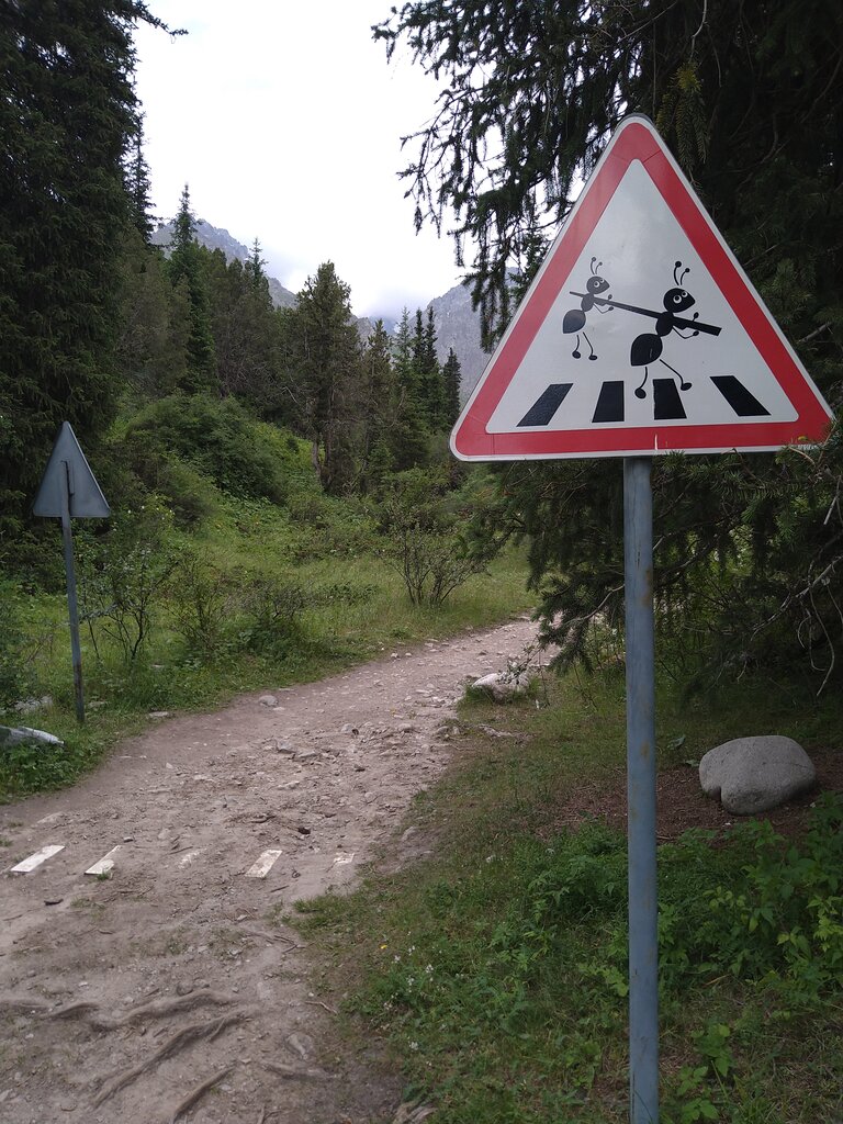 Doğa koruma alanı Государственный природный парк Ала-Арча, Çuy ili, foto