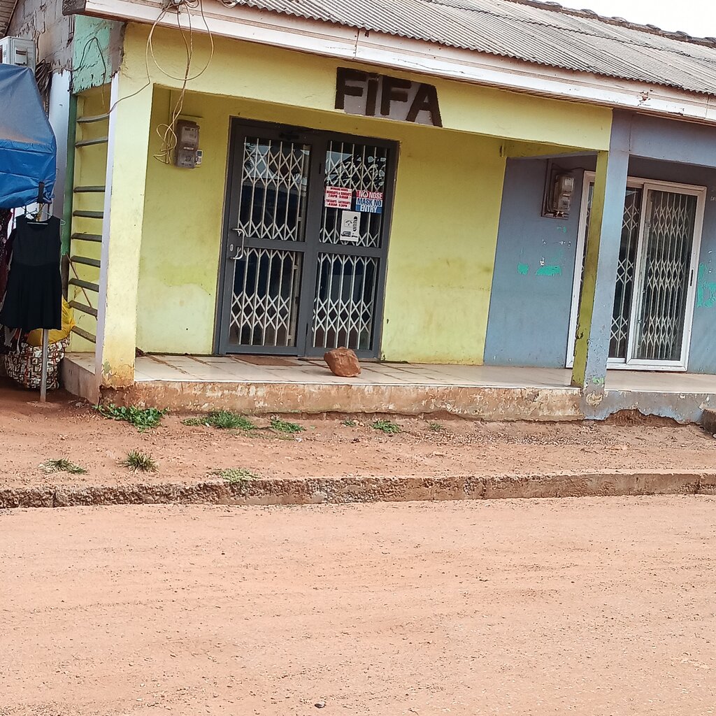 Berberler Fifa, Dünya, foto