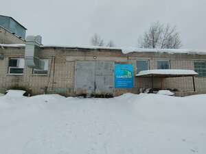 Хамелеон (Novogorkinskiy trakt No:3), otomobil servisi  Şuya'dan