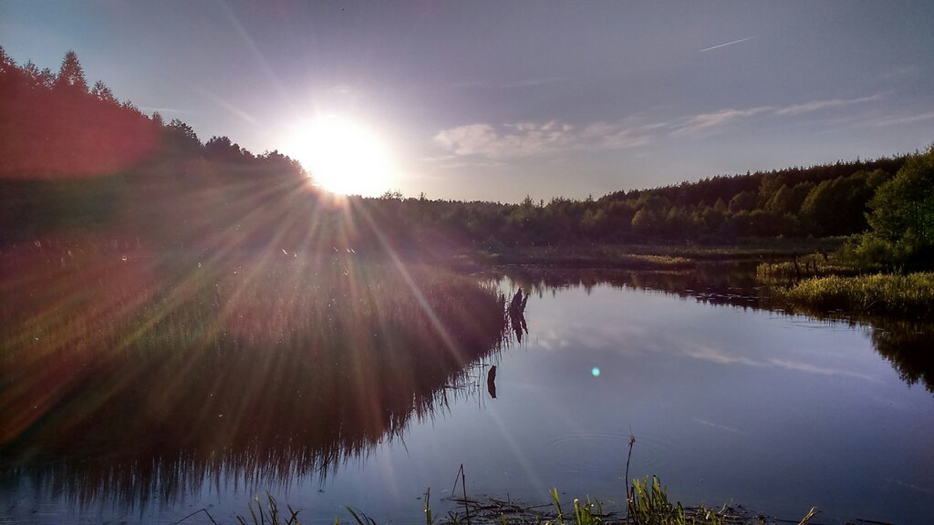 Piknik alanı Место для пикника, Vladimirskaya oblastı, foto