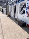 Dieu Merci (Brazzaville, Avenue Loutassi), baskıda kullanılan materyaller  Brazzaville'den