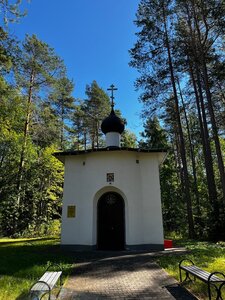 Ortodoks kiliseleri Chapel of the Nativity of Christ, Zelenogorsk, foto